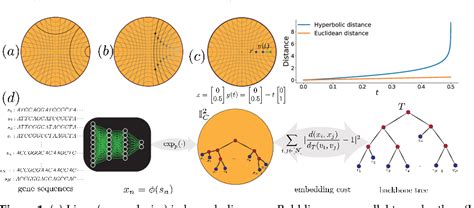 Figure 1 From Learning Hyperbolic Embedding For Phylogenetic Tree Placement And Updates
