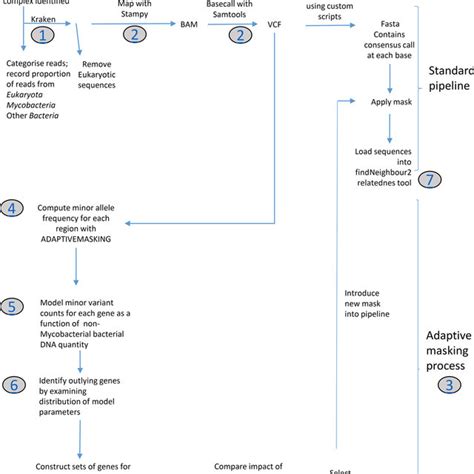 Bioinformatics Processes Shown Is A Flow Diagram Illustrating The Download Scientific Diagram