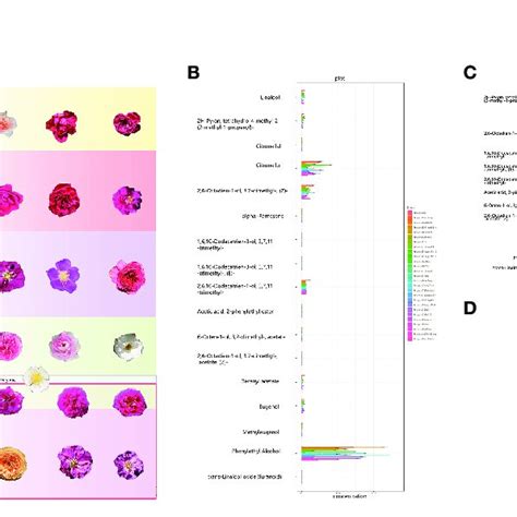 Cluster Analysis Of Morphological Characters And Histogram Of Target Download Scientific