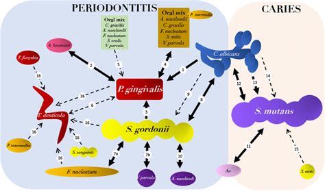 Transcriptomic Analyses Of Interspecies Interactions To Date