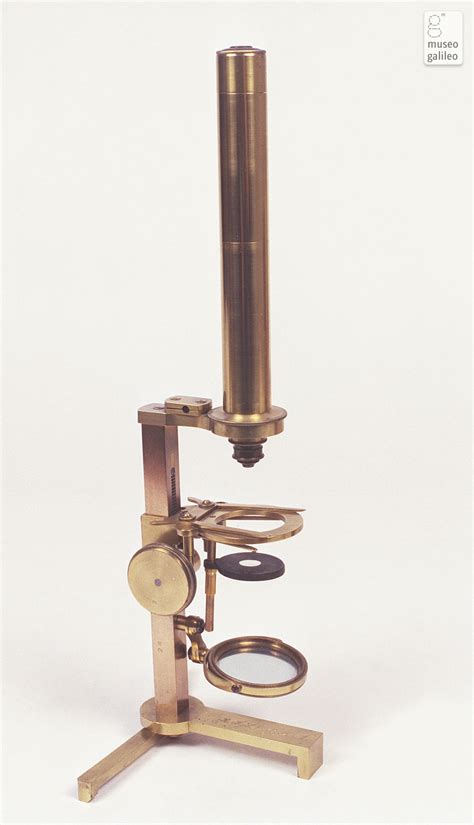 Officine Galileo Compound Microscope