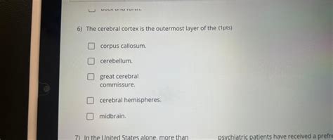 Solved The Cerebral Cortex Is The Outermost Layer Of The