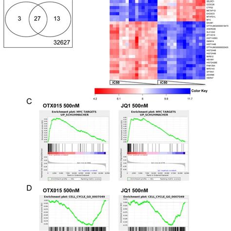 Ic50 In A Panel Of Aml And All Cell Lines Download Table