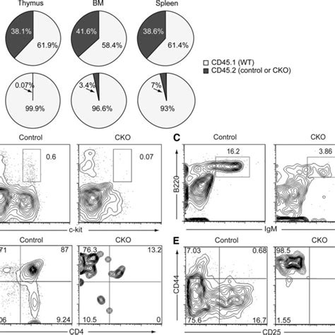 Loss Of Fbw7 Leads To A Cell Autonomous Defect Of Hsc Self Renewal A Download Scientific