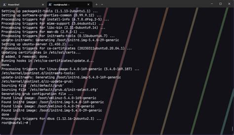 Cara Install Mikrotik CHR Pada KVM NAT VPS Netly Win