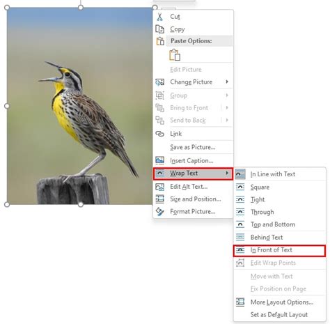 How To Mirror Flip An Image In Microsoft Word