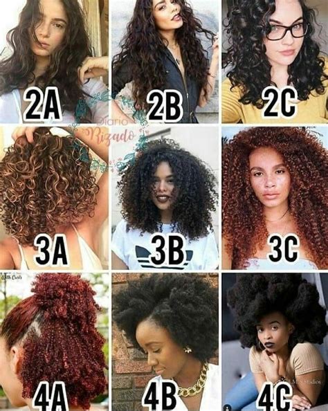 Hair Type Guide Natural Hair Types Curly Hair Styles Naturally