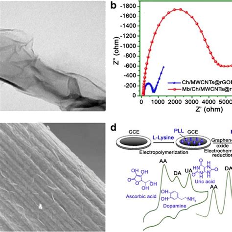 The Examples Of Enzymatic And Non Enzymatic Electrochemical Sensors Download Scientific