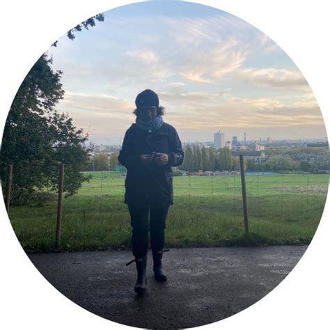 Iman Hamam Doctor Of Philosophy Research Profile