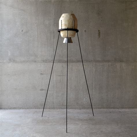 Trees Themselves Raise Wildfire Alarm In ForestGuard Detection System