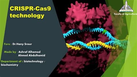Crispr Cas System Pptx