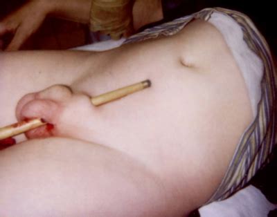 Internet Scientific Publications