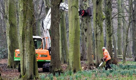 Broodje Van De Week Peter Dicker Van Actiegroep Boom Broodjehans