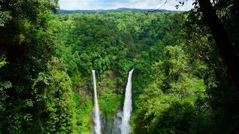 깊은 숲 속의 두 갈래의 물줄기 폭포소리 L 10시간 Youtube