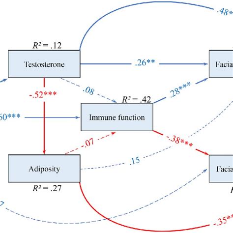 Structural Equation Model Showing Causal Links Between All Measured Download Scientific Diagram
