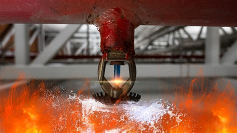 Explore Different Fire Sprinkler System Types Uses