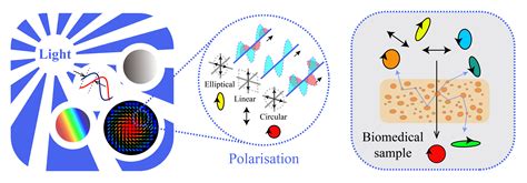 Polarisation Optics For Biomedical And Clinical Applications Research