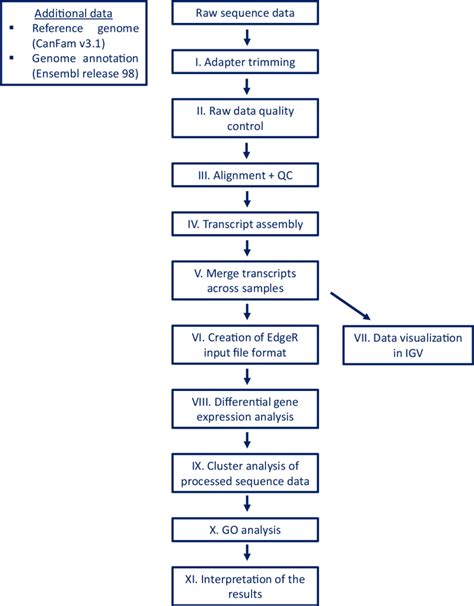 The Simplified Analysis Pipeline Used For Data Analysis Download Scientific Diagram