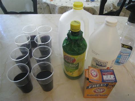 Cabbage Juice Science Experiment Teach Beside Me