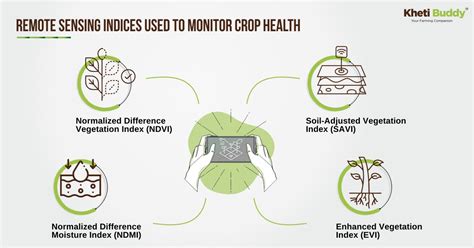 Revolutionizing Crop Management With Remote Sensing And Gis Capabilities Kheti Buddy