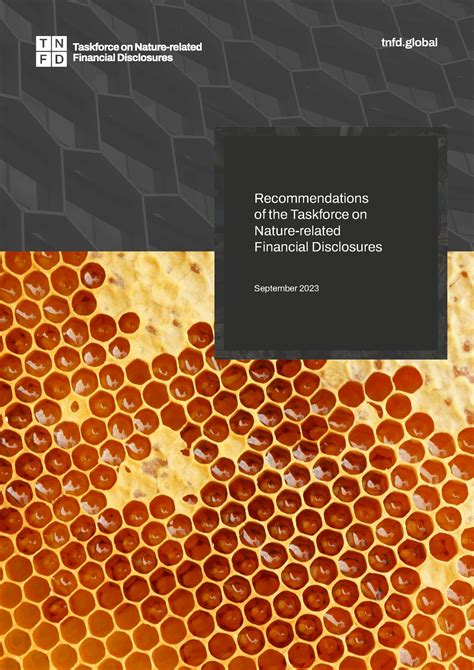 Tnfd Releases Fourth And Final Beta Framework