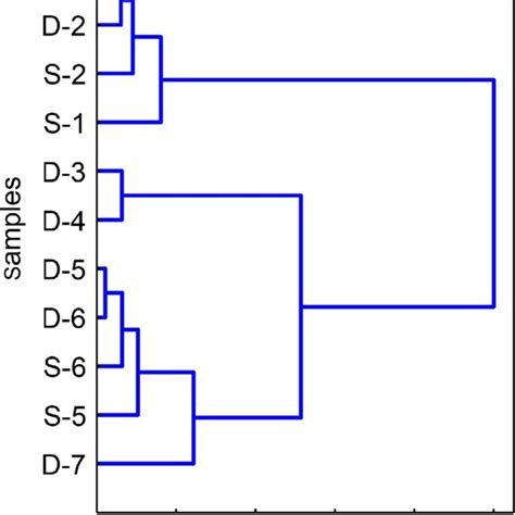 dendrogram generated using the nearest neighbor method and euclidean