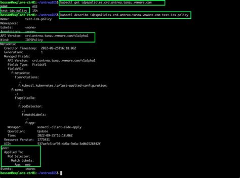 Securing Containers Using Vmware Antrea Ids Nsxbaas
