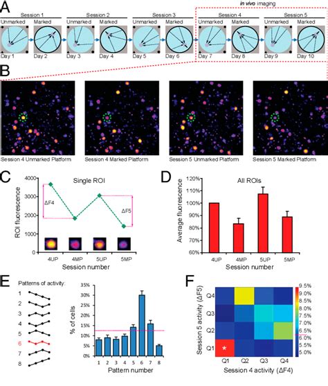Retrosplenial Cortex Semantic Scholar