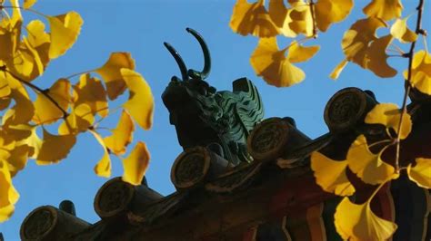 Disclaimer Amendment” Definition And Acceptable Conditions From The Second Instance Judgment