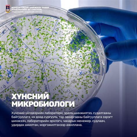 ШУТИС Хүнс Хөнгөн үйлдвэрлэл Дизайны сургууль Бакалаврын элсэлт 2021 Мэргэжлийн нэр Хүнсний