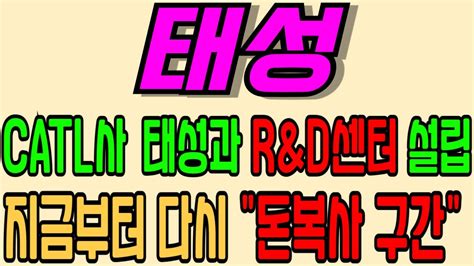 태성 주식 태성 주가전망 323280 태성주가전망 태성전환사채 태성주가 태성전망 태성목표가 태성주식 태성기업설명회 태성뉴스 Youtube