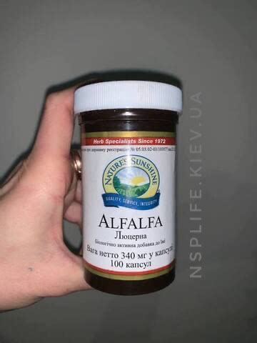Люцерна НСП Альфальфа в капсулах Alfalfa NSP НСП купить в Украине и ...