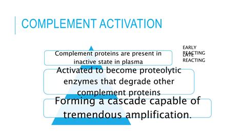 Complement System Pptx Blood Disorders Diseases And Conditions