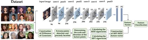 sensors free full text face recognition using the sr cnn model