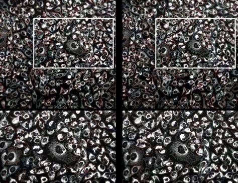 Segmentation Examples From Experiment Right Column Segmentation