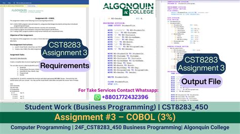Programming [Assignment⭐Exam⭐Quiz⭐Project⭐Report] Helper For International Students on LinkedIn ...