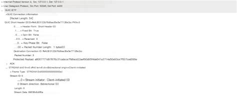 Mastering Quic A Beginners Guide To Understanding And Capturing Quic Packet Flow With