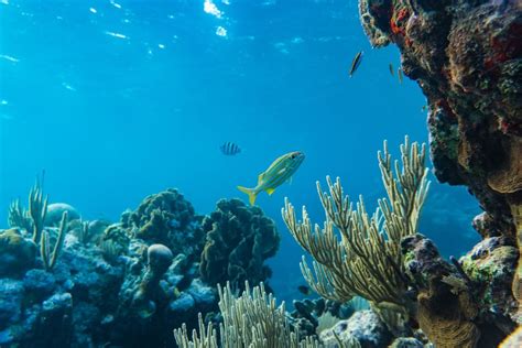 15 best things to do in java indonesia [updated 2025]