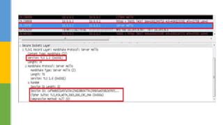 SSL TLS Protocol PPTX Information And Network Security Computing