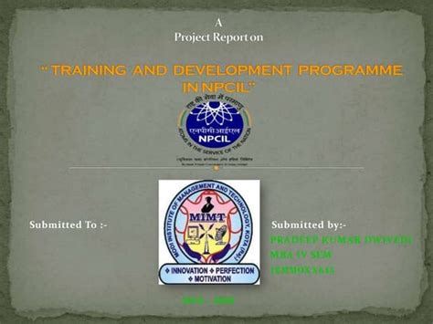 Ppl Internship Report Abdullah Haider Ali Pdf