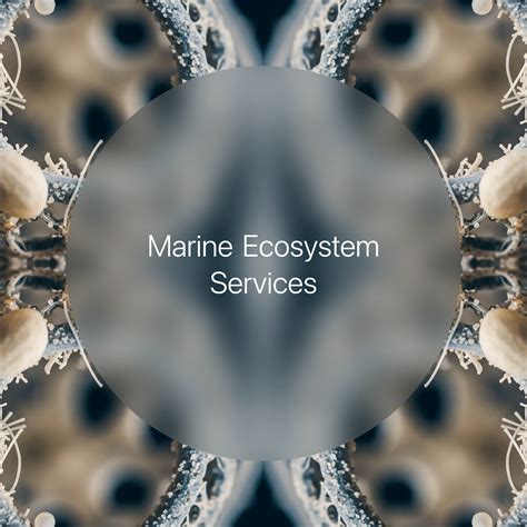 Marine Ecosystem Services → Term