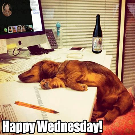 Happy Wednesday S The Best  Collections Are On Sec