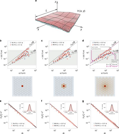 Large Scale Simulation Of Biomembranes Incorporating Realistic Kinetics Into Coarse Grained