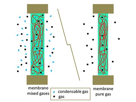 Molecular Insight On Gas Transport In Polymer Membranes Unveiled By Nmr Advances In Engineering