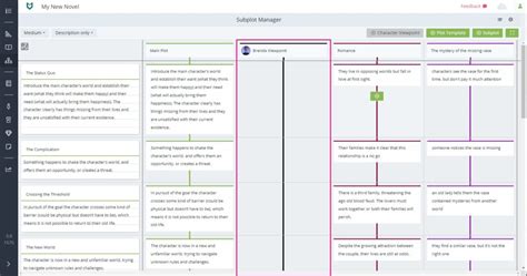 Adding A Character Viewpoint To The Subplot Manager Novel Factory