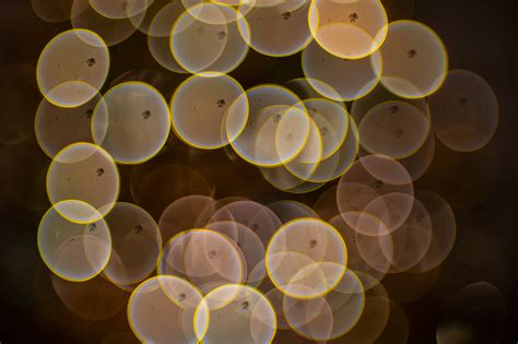 Majdnem Rekorder Soligor 135mm F15 Teszt Hispans Photoblog