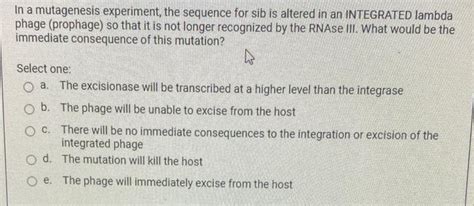 Solved In A Mutagenesis Experiment The Sequence For Sib Is Chegg