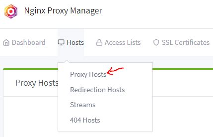 How to combine Nginx Proxy Manager with Cloudflare to access your ...