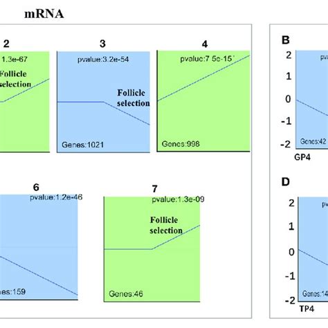 Co Expression Network Analysis Of Differentially Expressed De
