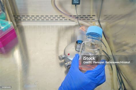 연구원은 분센 버너를 사용하여 병원균 또는 박테리아를 죽이고 실험실 내의 세포 배양 배지의 오염을 방지하는 멸균 기술을 사용한다 실험실 실에서의 실험실 테스트 0명에 대한